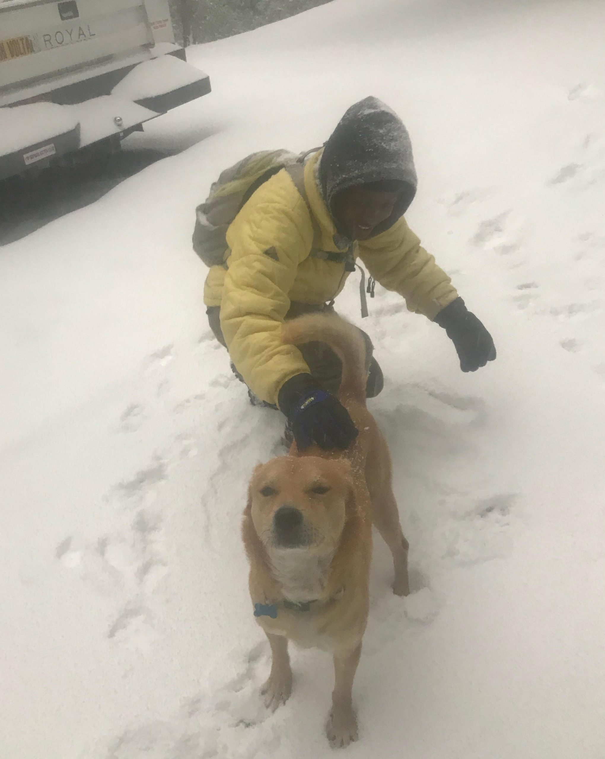 Hairo - RuffCity - NYC Dog Walkers